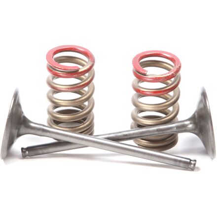 Pro X Steel Intake Valve and Spring Kit | MotoSport