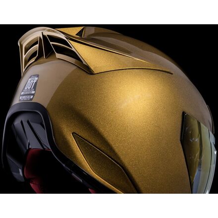 Shop ICON Domain Cornelius Helmet | MotoSport